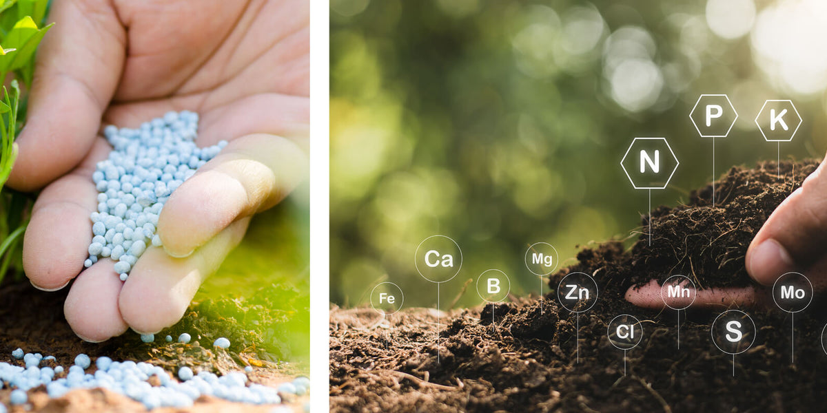 Fertigation The What, How, and Why — The Irrigation Hub