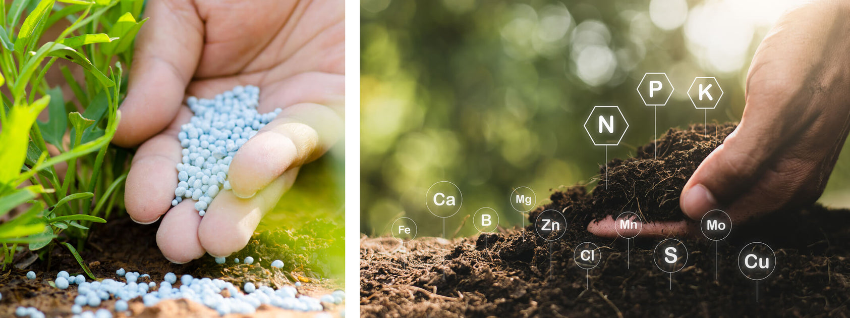 Fertigation The What, How, and Why — The Irrigation Hub