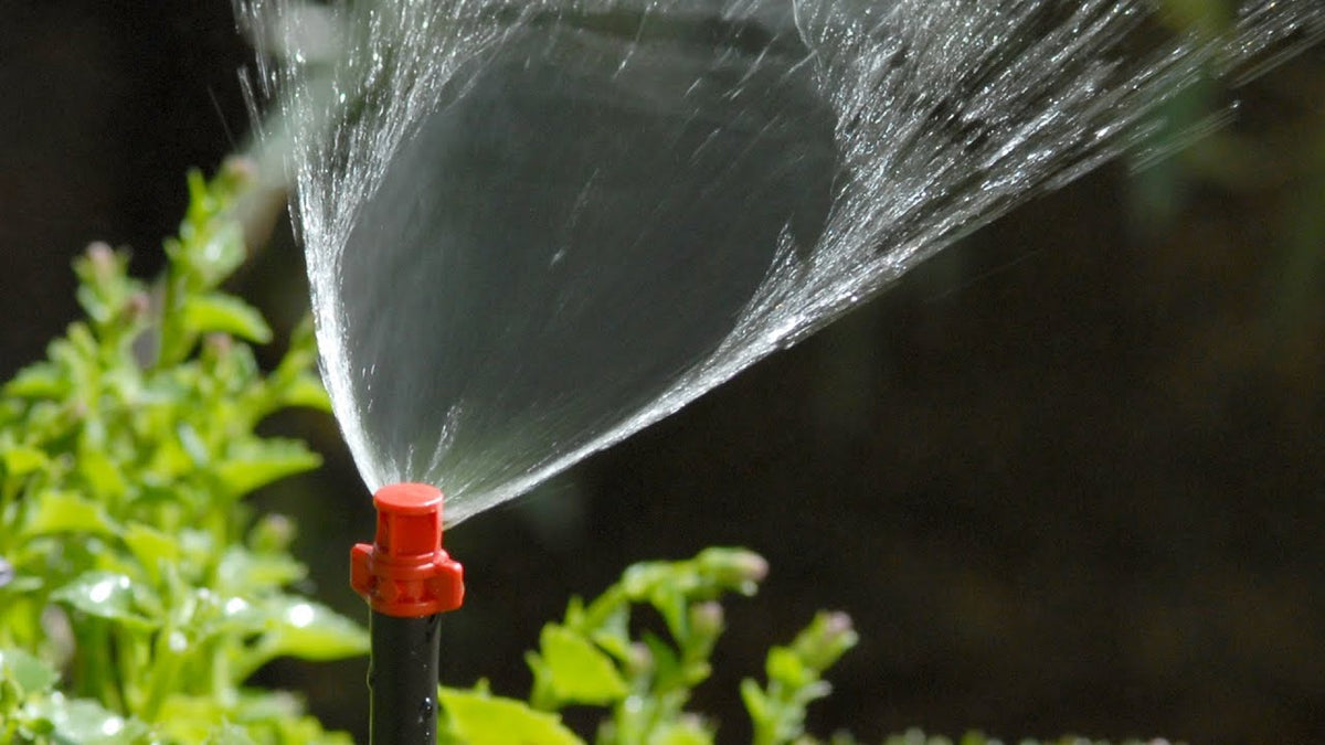 Micro Sprays | Precision Low-Flow Irrigation Solutions — The Irrigation Hub