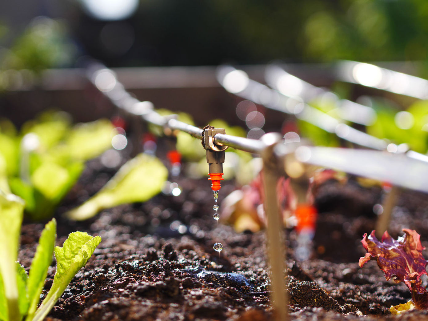 The Irrigation Hub | Irrigation Supplies, Solutions & Advice